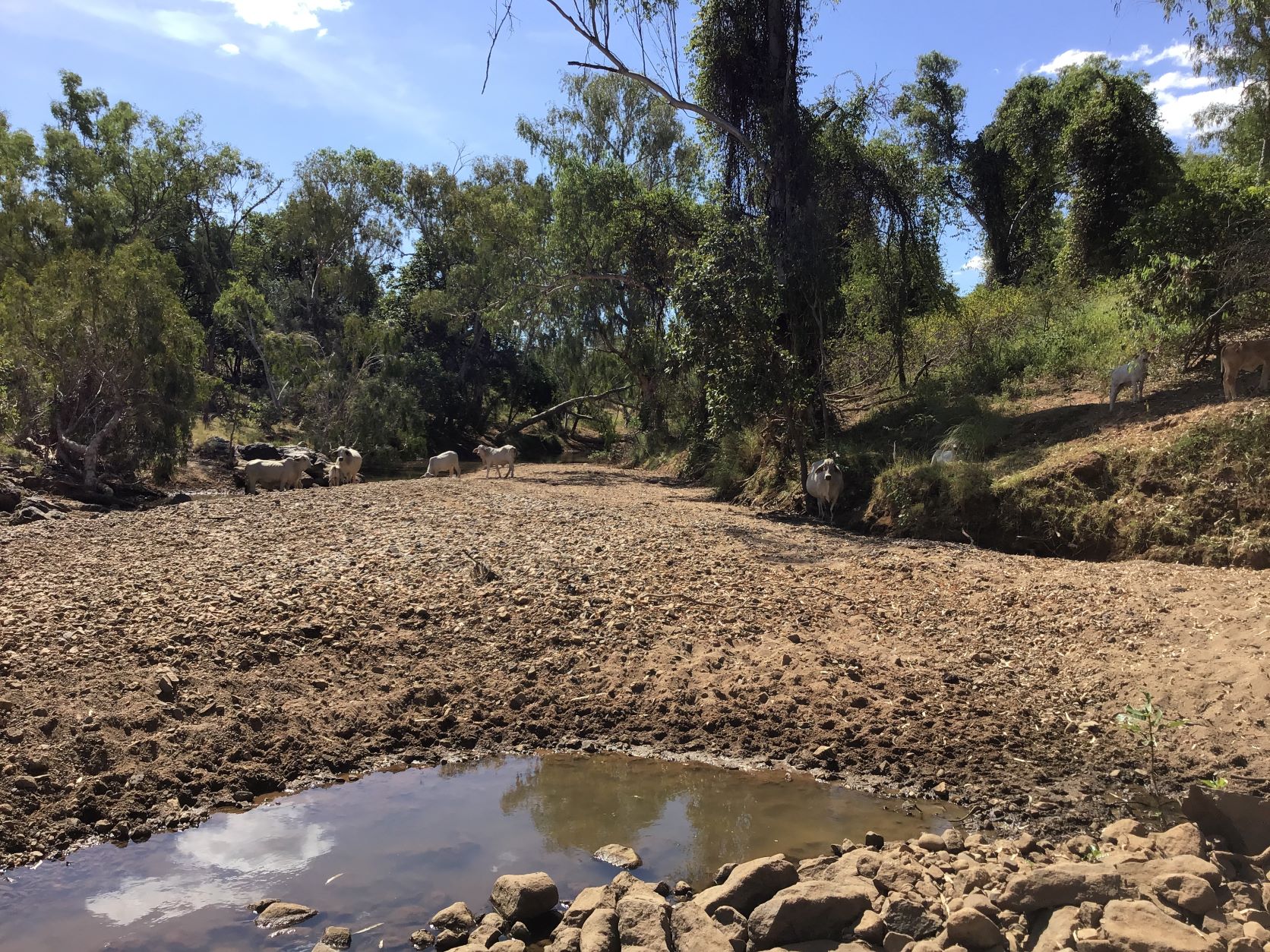 Water availability – Gilbert River Digital Twin – Understanding the Gilbert River Agricultural ...